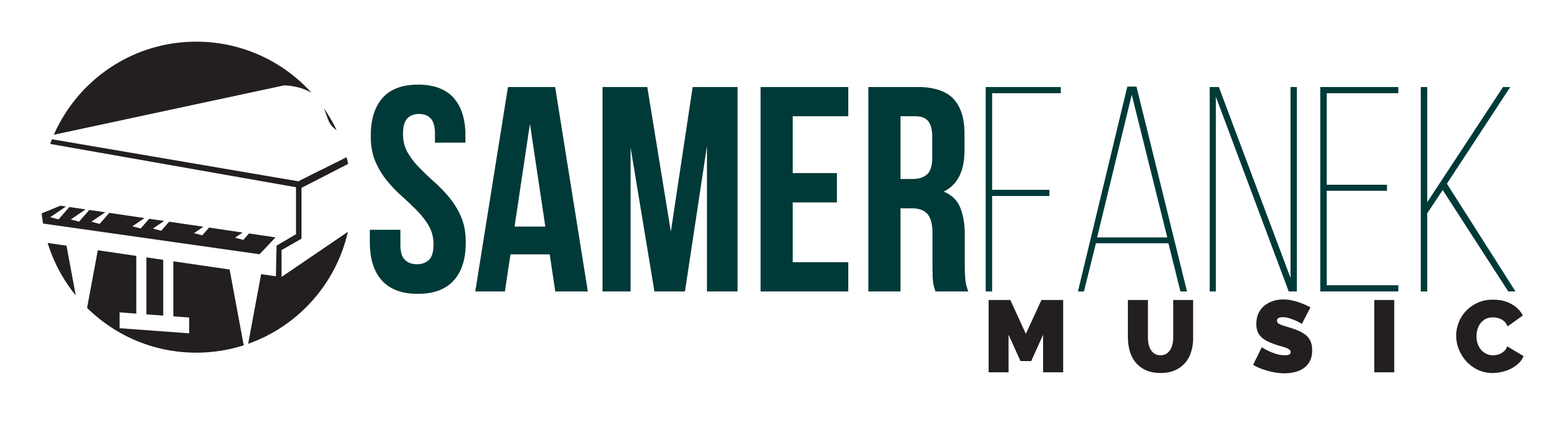 Samer Fanek | Official Website